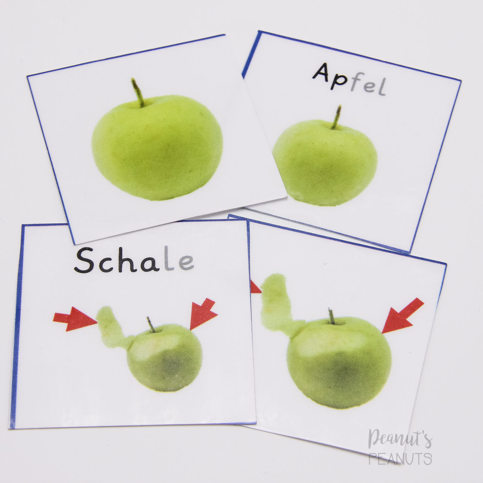 Die Bestandteile des Apfels- Pärchenspiel mit Schrift – Peanut's Peanuts